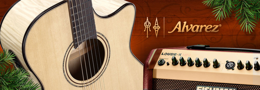 Wild Acoustic Music Co - Musical Instrument Store Hendersonville, NC