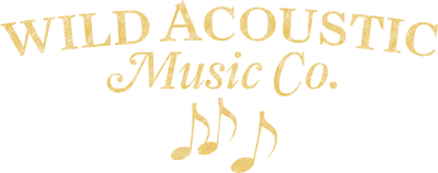 Deluxe German Scheitholt - Wild Acoustic Music Co