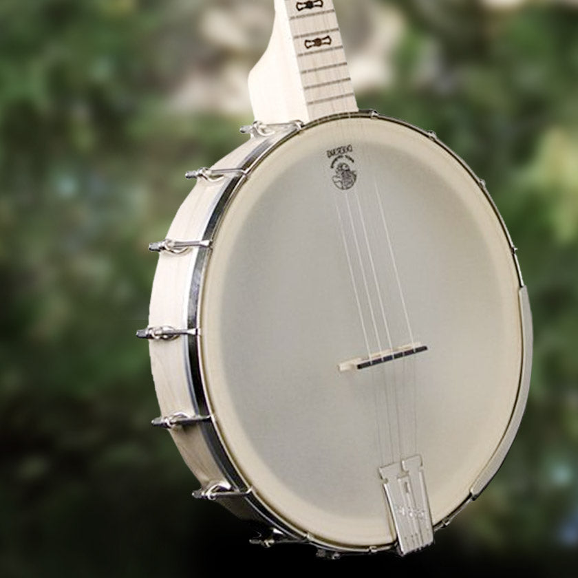 Wild Acoustic Music Co - Musical Instrument Store Hendersonville, NC