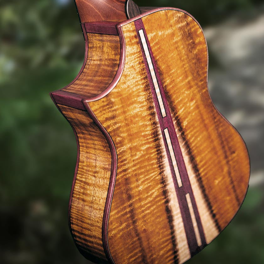 Wild Acoustic Music Co - Musical Instrument Store Hendersonville, NC