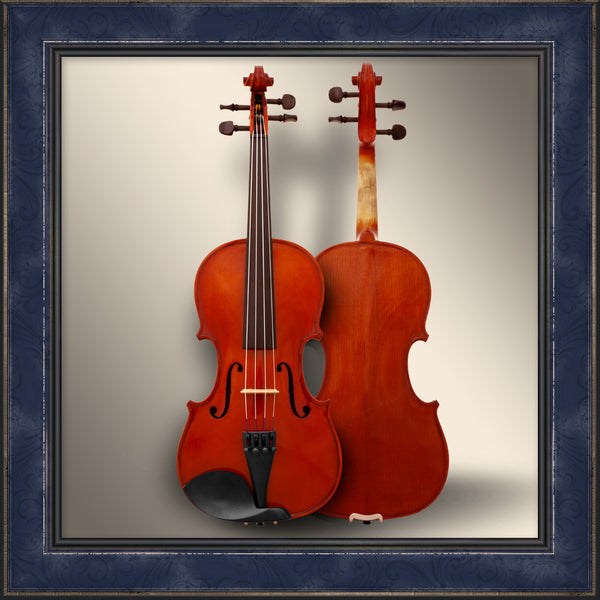 Viola, Maple Leaf Strings 110VA - Wild Acoustic Music Co
